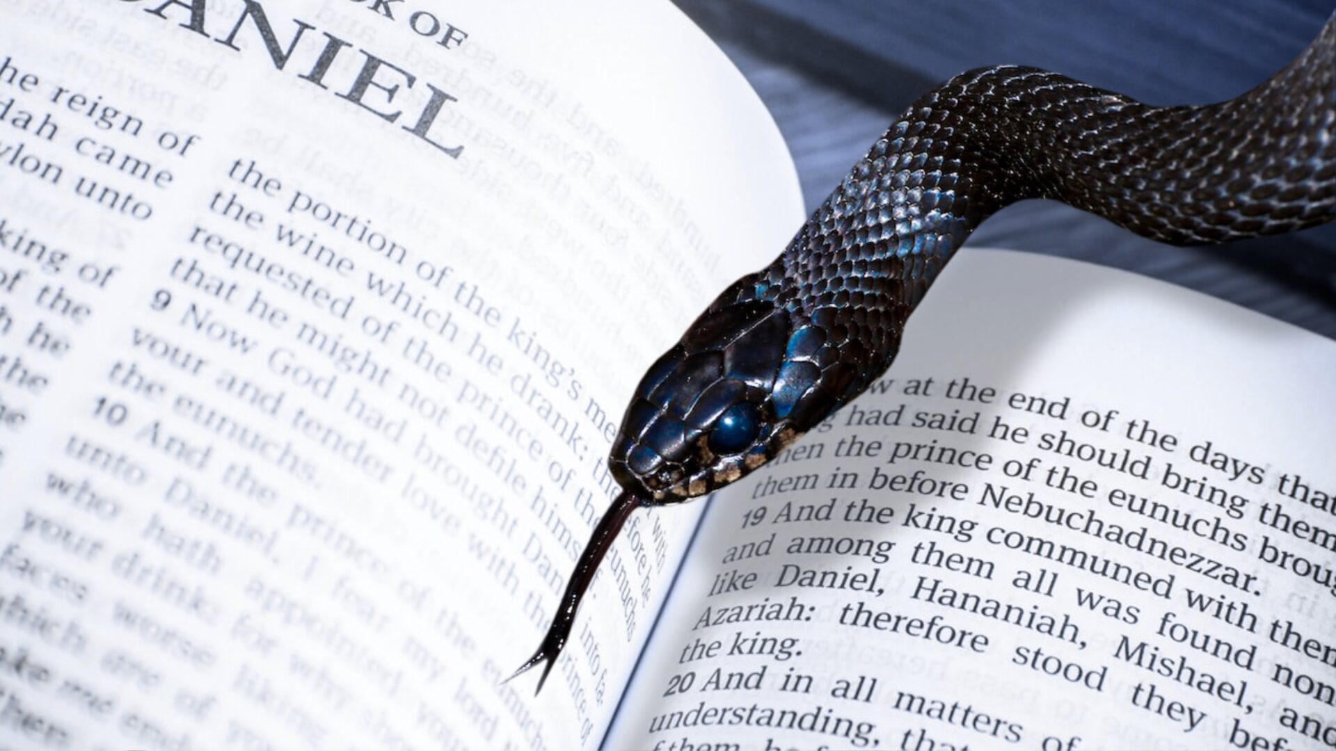 Overcoming And Escaping The Devil’s Temptation - Harbingers Daily