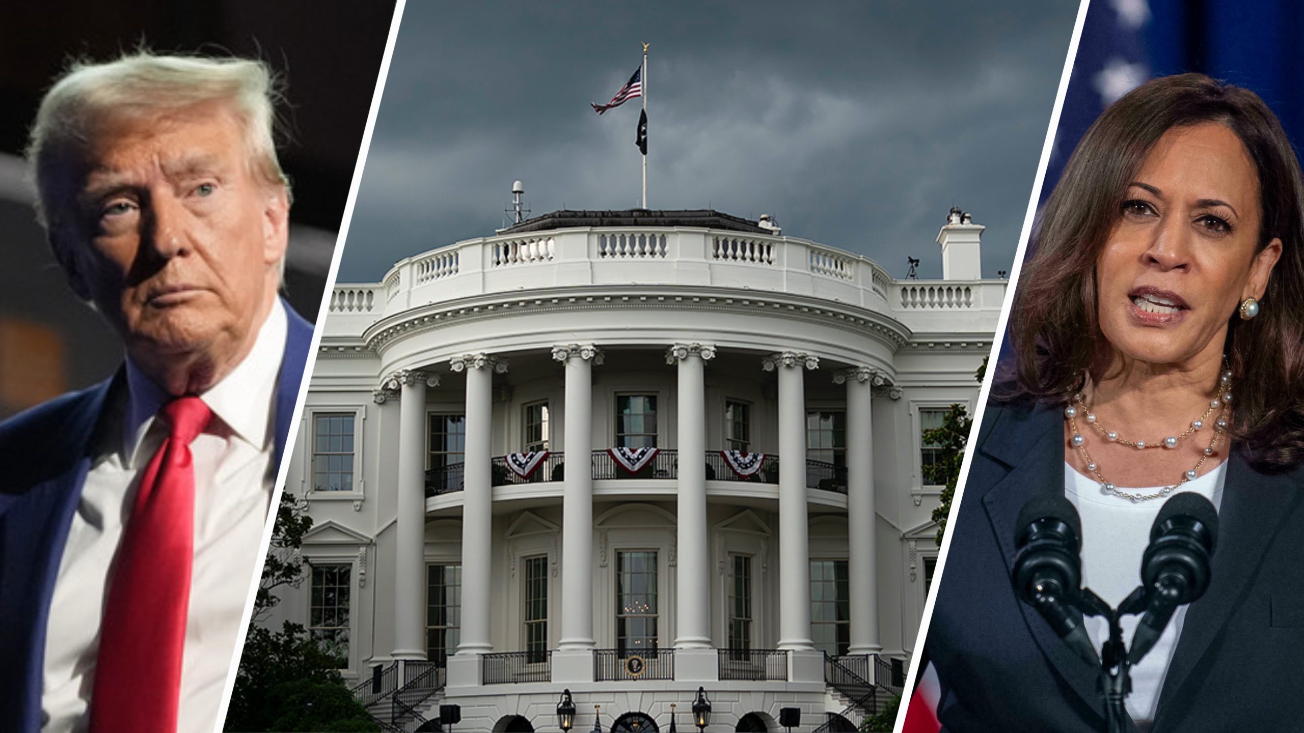 2024 Election - Live Updates - Harbinger's Daily